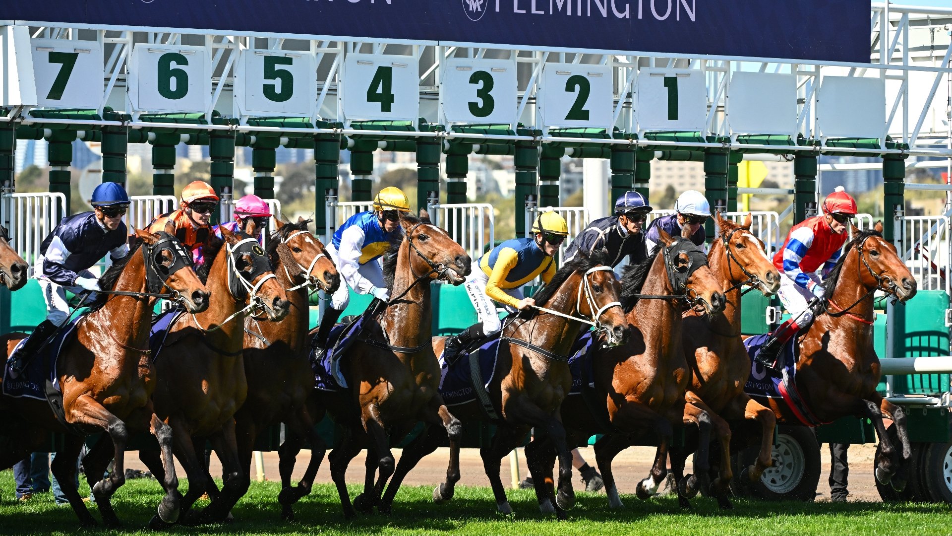 2023 Melbourne Cup Odds | Vauban the hot favourite at Flemington