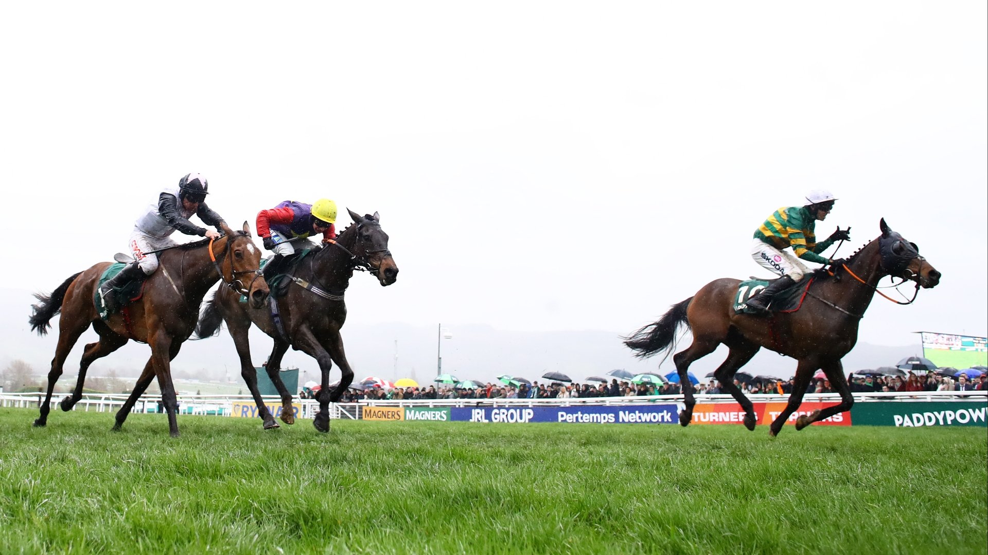 Stayers' Hurdle 2024 Tips | Pre-season guide and preview