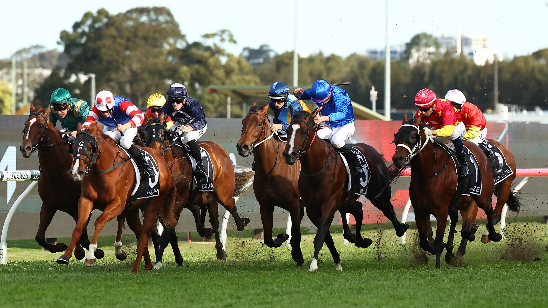 Rosehill Highlights - Saturday, September 23