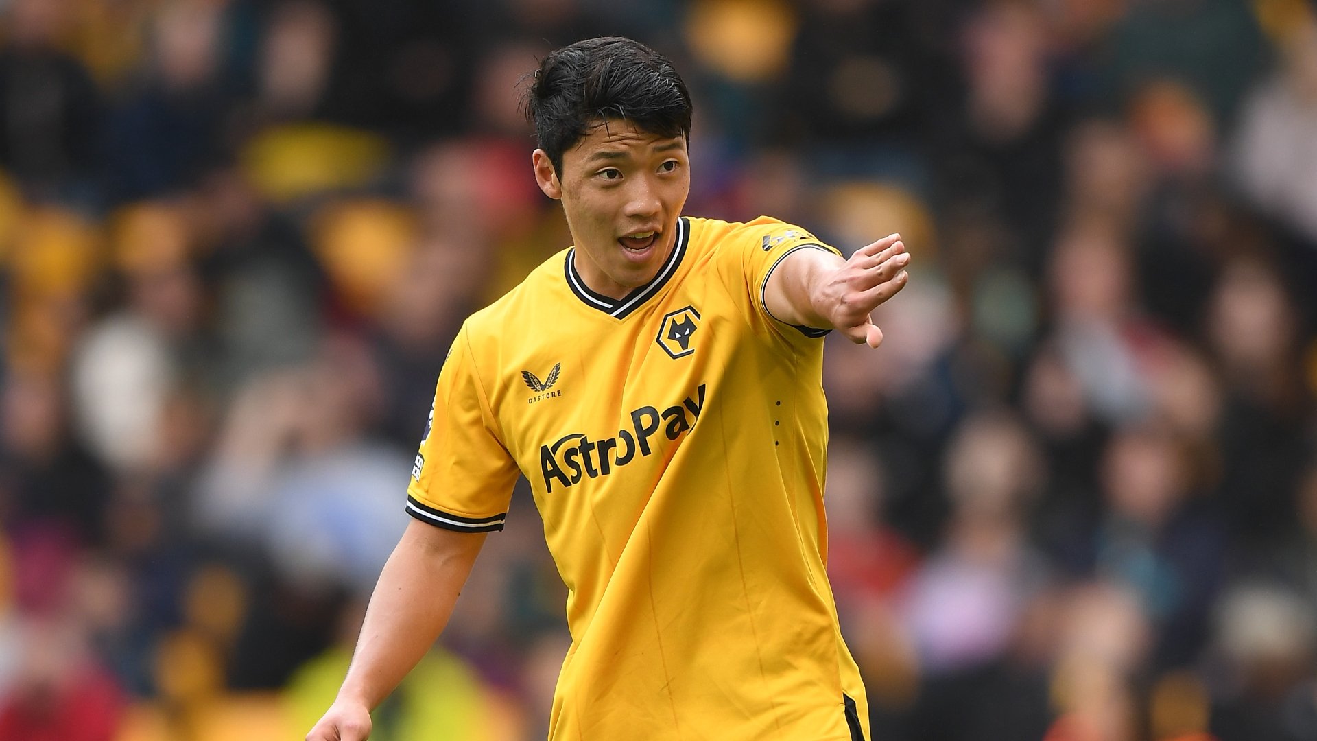 Sheffield United vs Wolves Predictions - Wolves Building Premier League ...