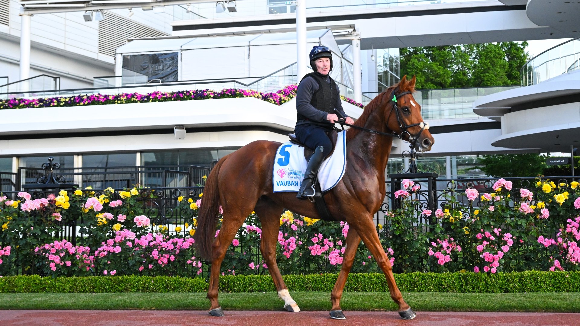 Racing News | Vauban into 11/4 for Melbourne Cup after sparkling gallop