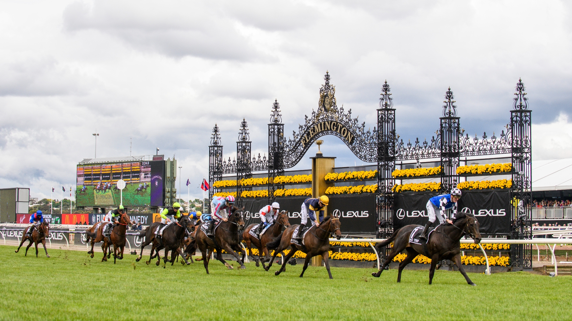 2023 Melbourne Cup Tips | Two selections at Flemington