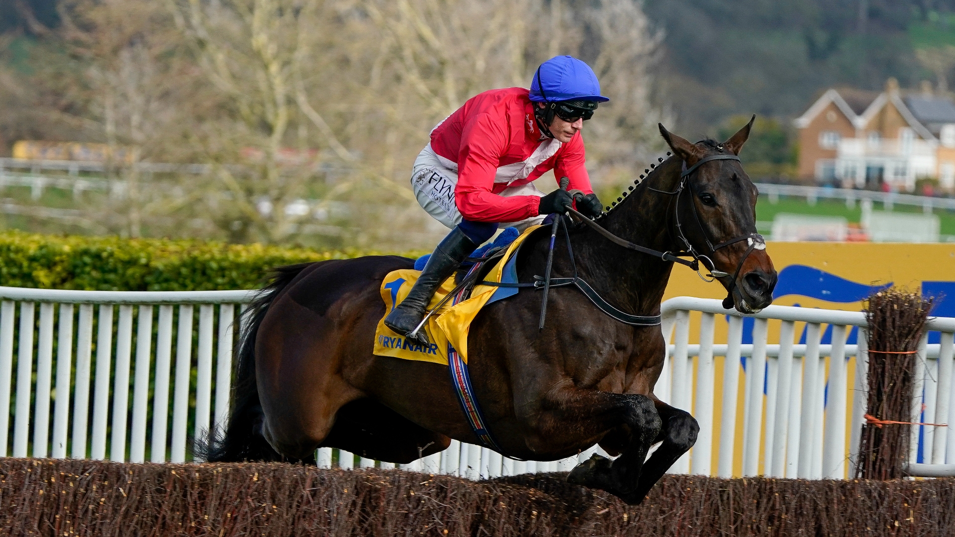 Racing News | Allaho returns with a win at Clonmel