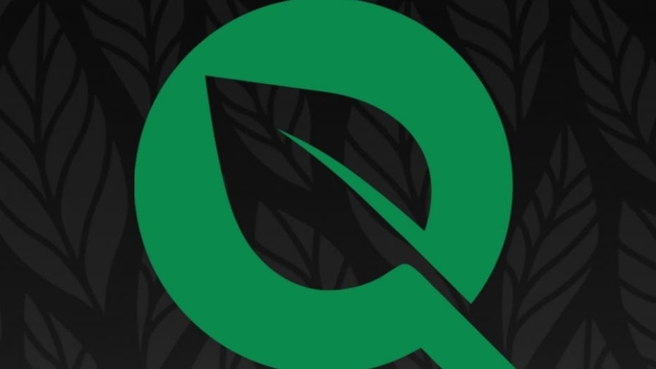 FlyQuest Announce Its New LoL Roster