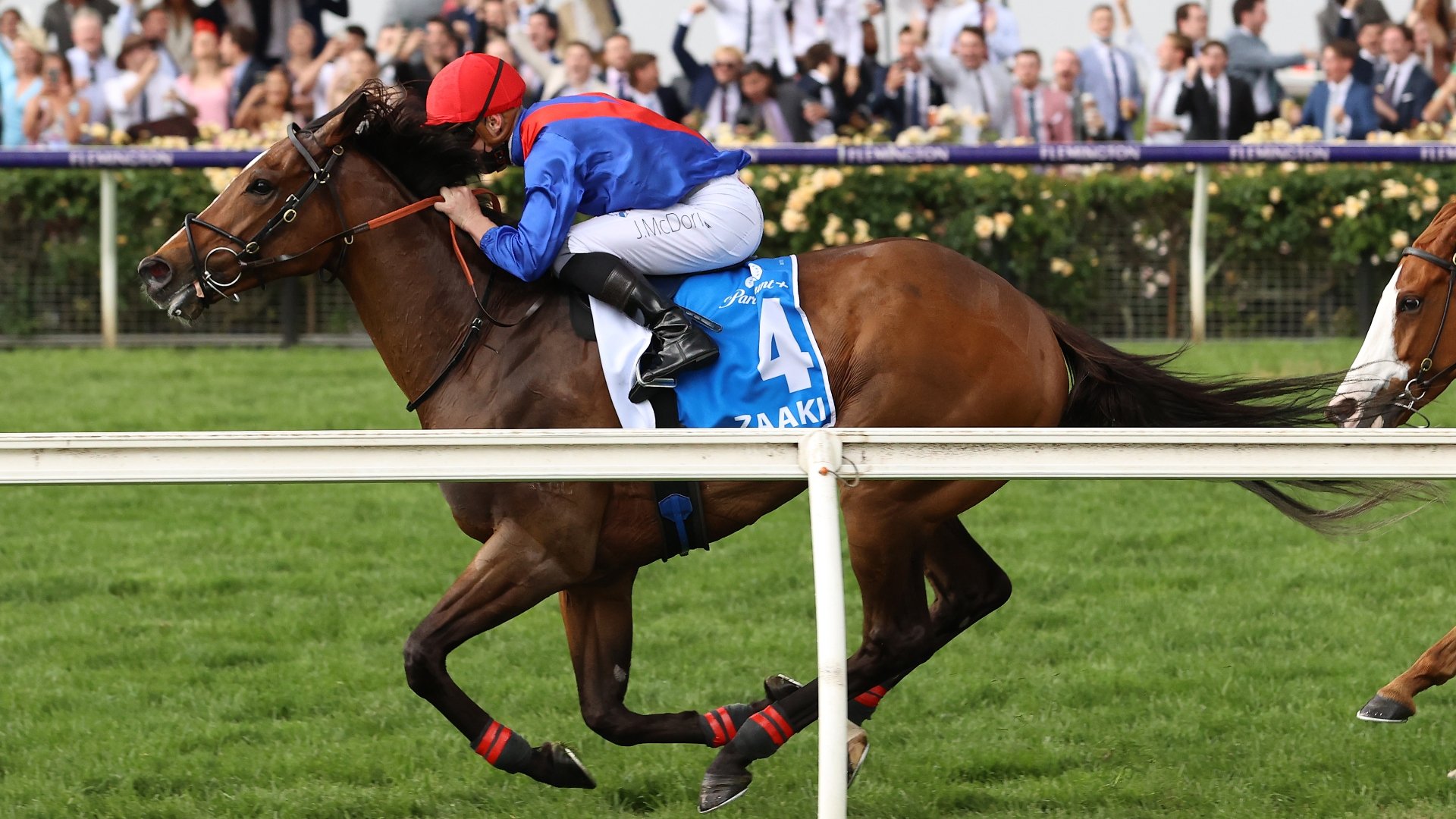 Northerly Stakes 2023 Barrier Draw & Final Field