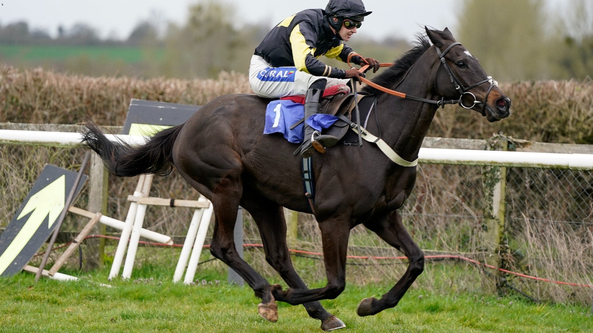 Newspaper Racing Tips on December 9th | JPR One and Jonbon fancied for ...