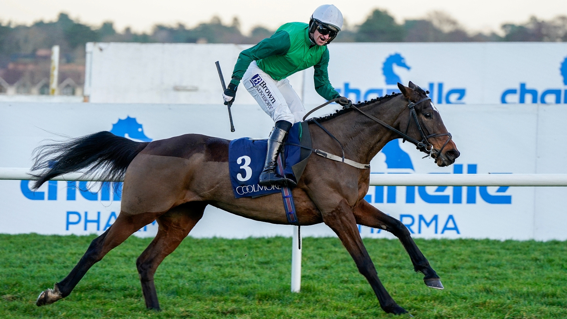 Three Races To Watch on December 17th | Tips for Thurles, Navan and ...