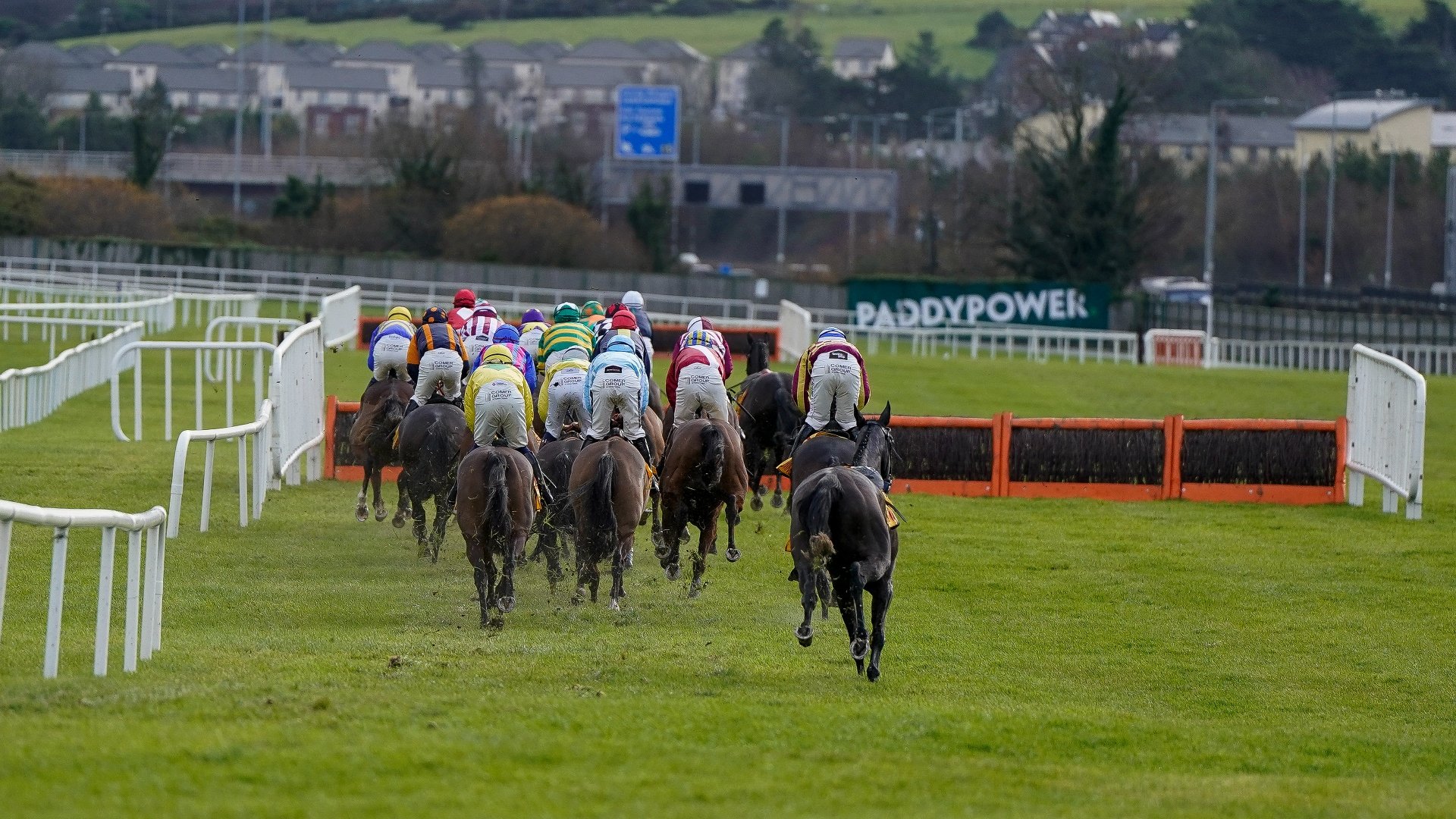 Leopardstown Tips on December 26th | Christmas Festival Day 1 Tips