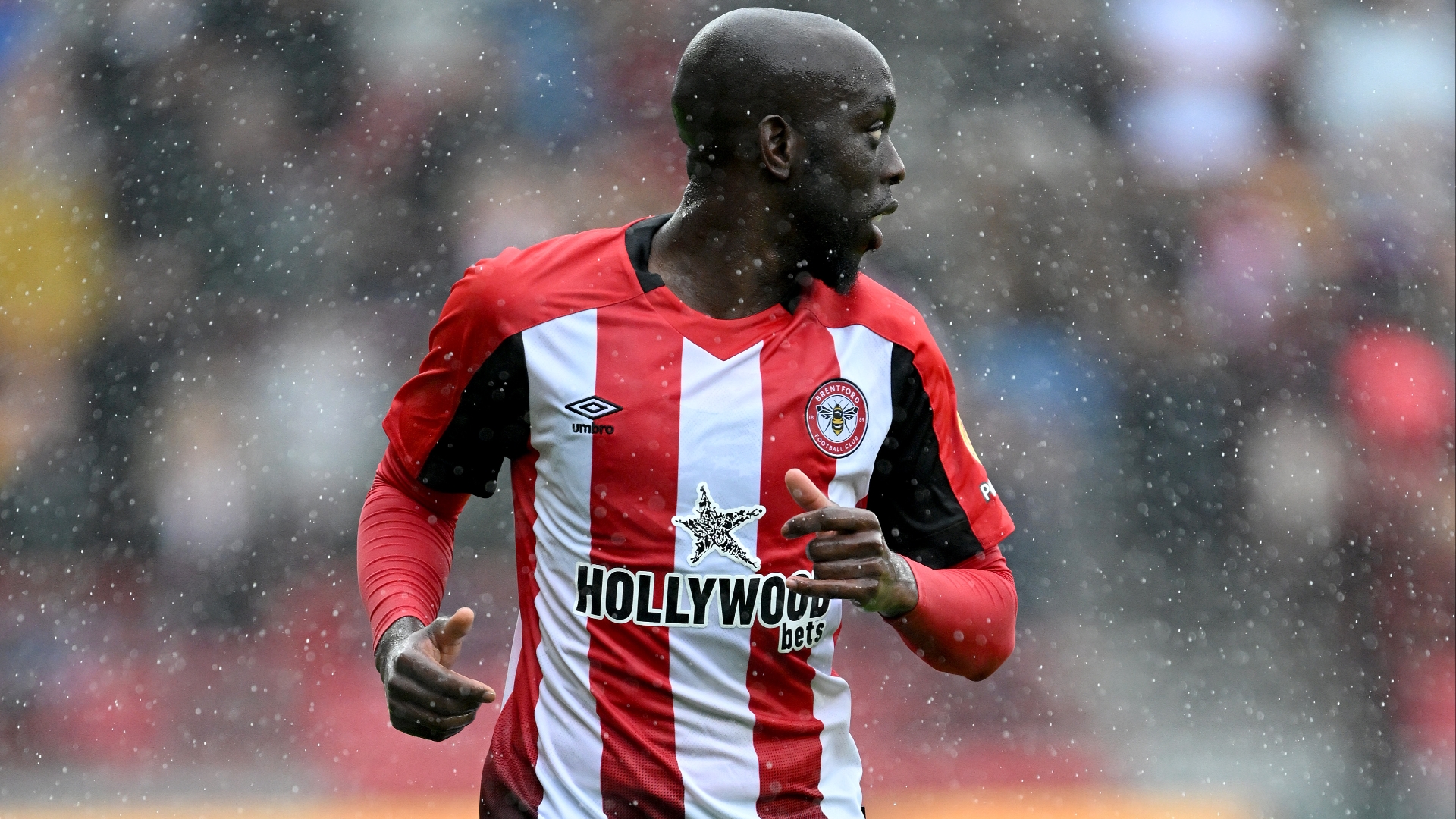 Brentford vs Wolves Predictions - Wolves’ road woes to continue in the ...