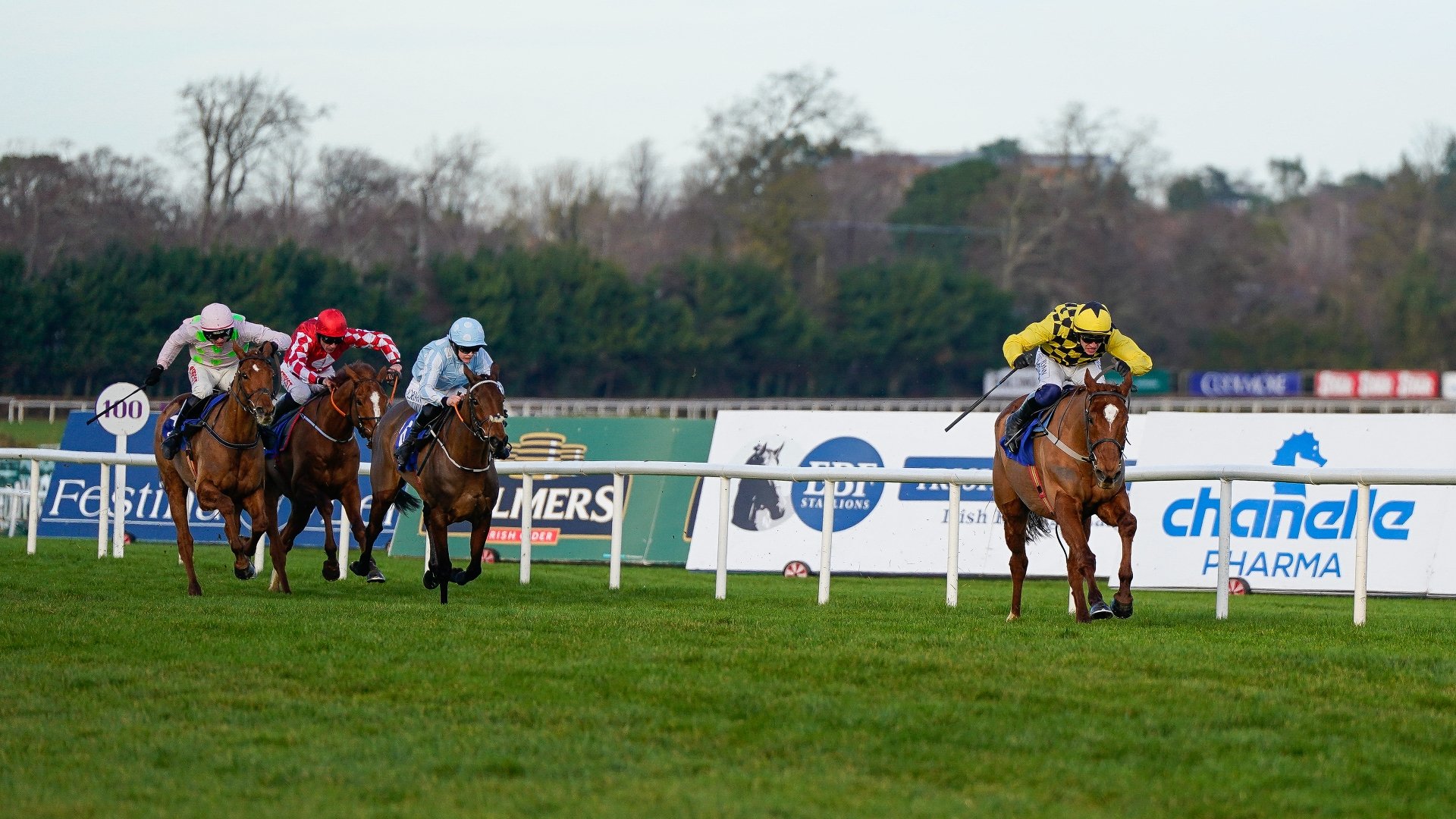 2023 Matheson Hurdle Tips | State Man vs Impaire Et Passe at Leopardstown