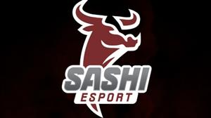 Sashi Esports Announce niko and Fessor
