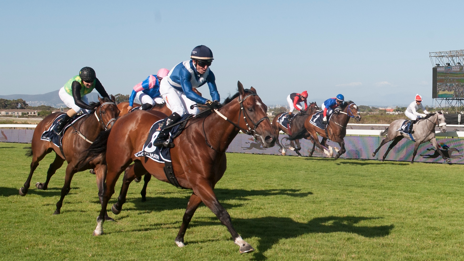 2024 L'Ormarins King's Plate Odds | See It Again heads Charles Dickens ...