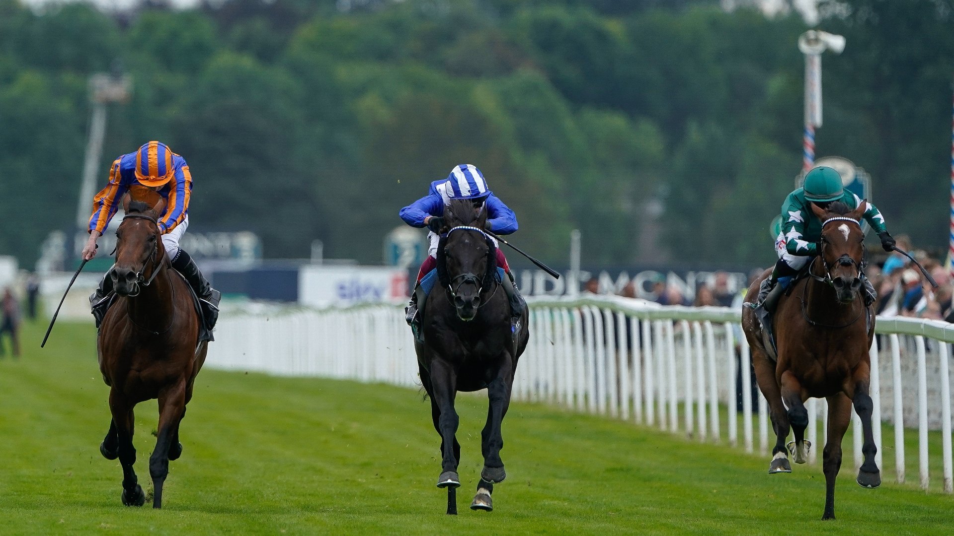 Horse Racing Treble Tips - Get Racing Insider's Daily Treble