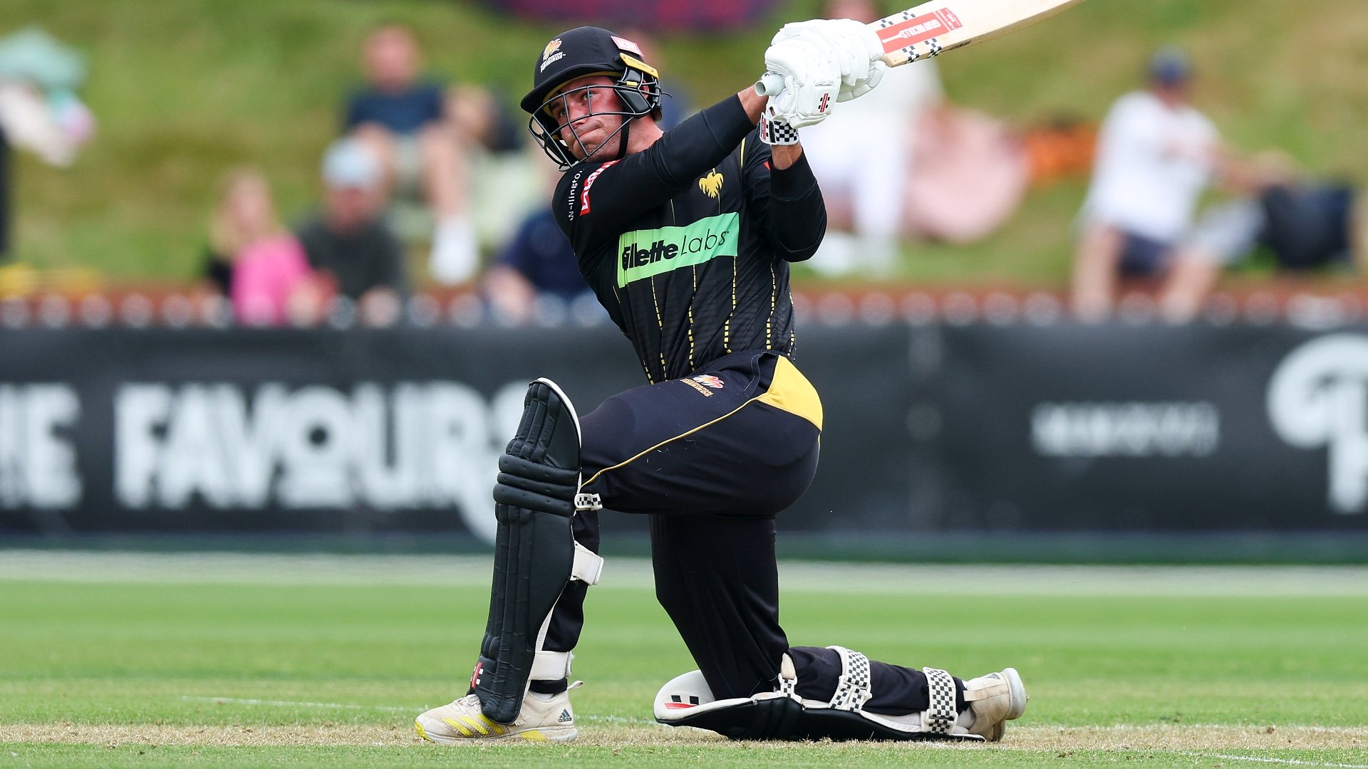 Auckland vs Wellington Predictions - Robinson to wreck Auckland attack