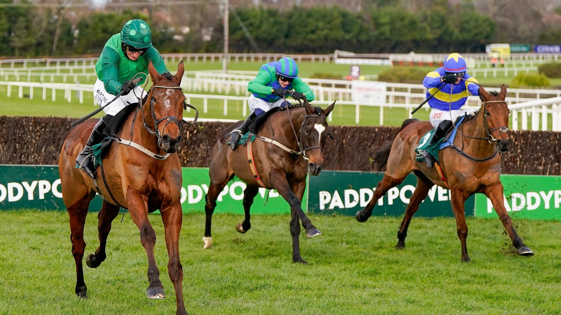 Leopardstown Tips on February 3rd | Dublin Racing Festival Day 1 Tips
