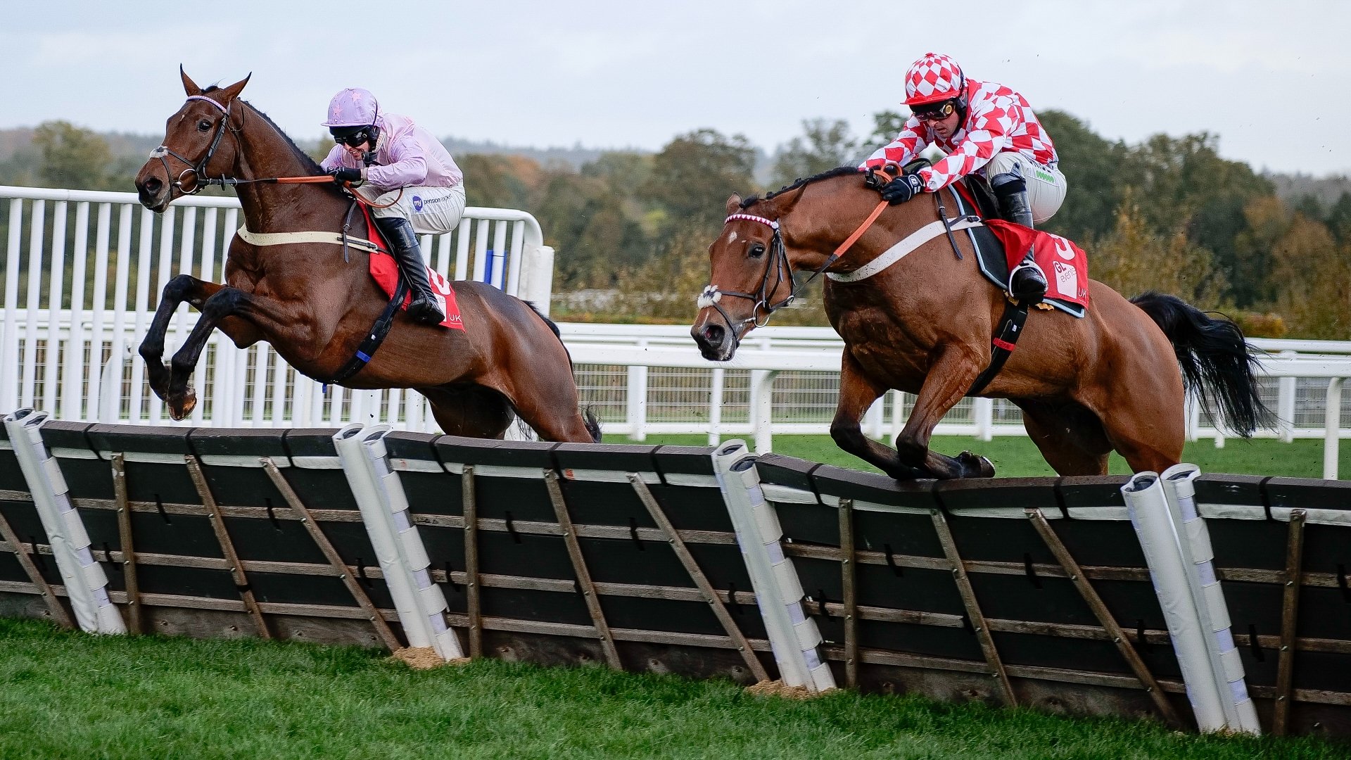 Cheltenham Festival 2024 Tips | 16/1 shot can strike a blow for the ...