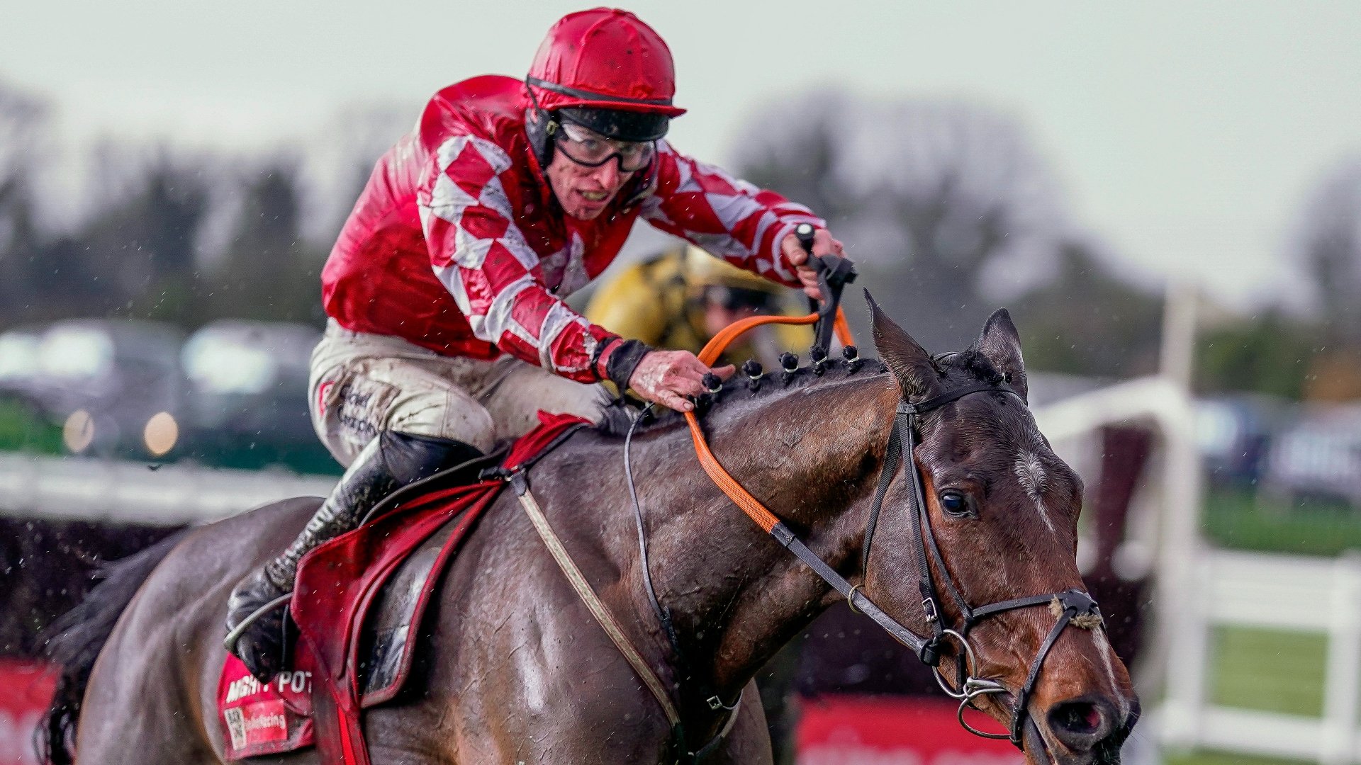 Racing News | Caldwell Potter fetches record €740K at Browns Dispersal Sale