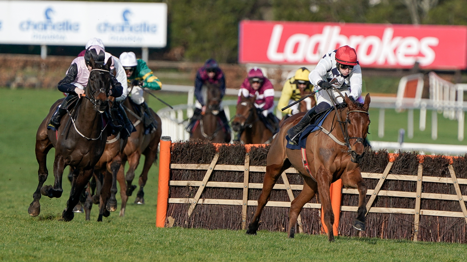 2024 Baring Bingham Novices' Hurdle Odds | Ballyburn favourite ahead of ...