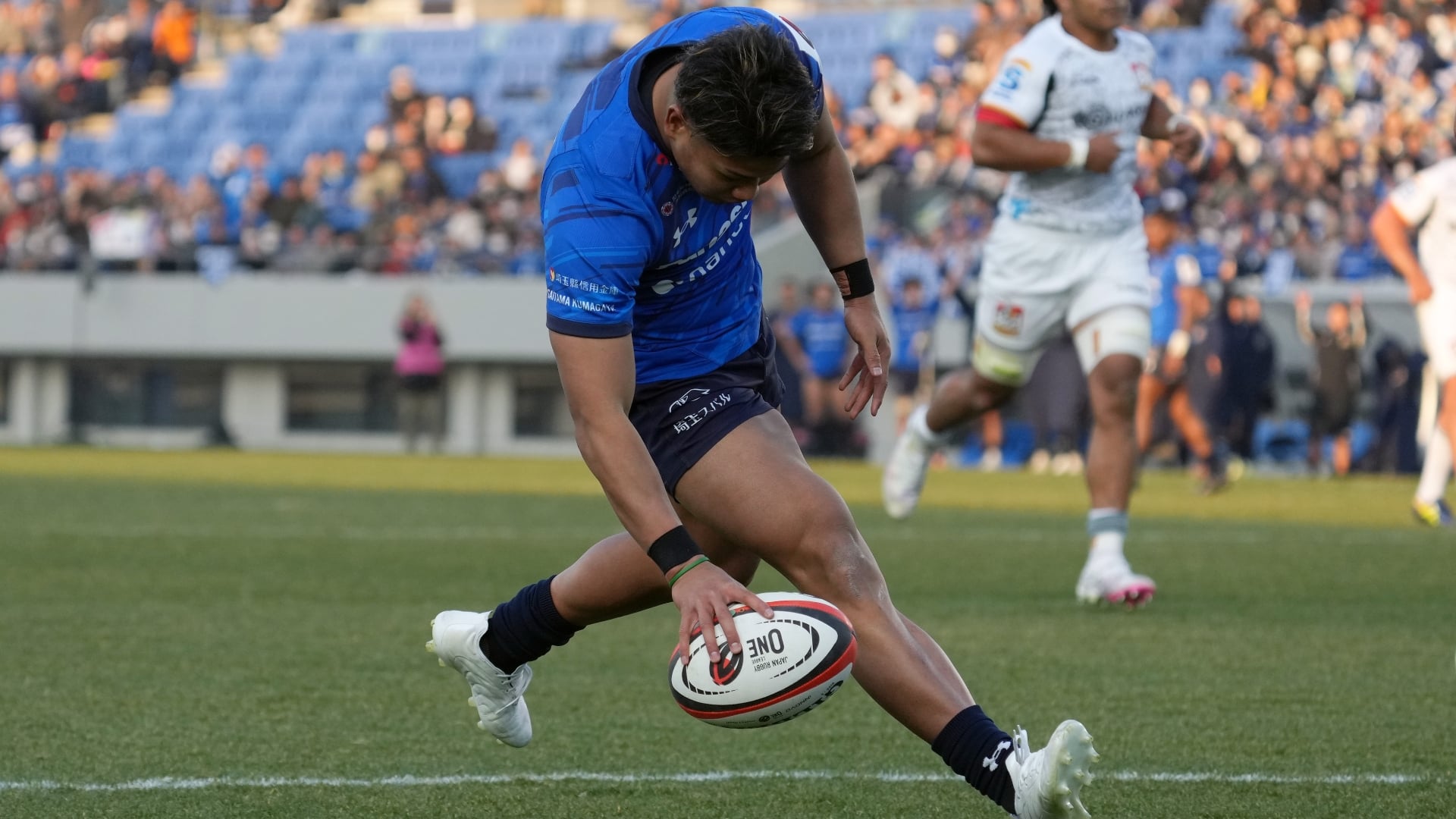Wild Knights vs Tokyo Sungoliath Predictions - Wild Knights to stretch ...