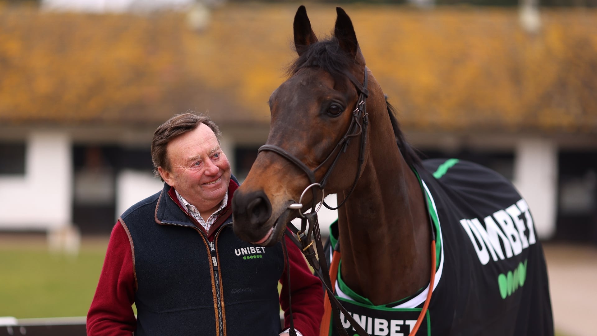 Cheltenham 2024 Stable Tour | Nicky Henderson Festival Runners