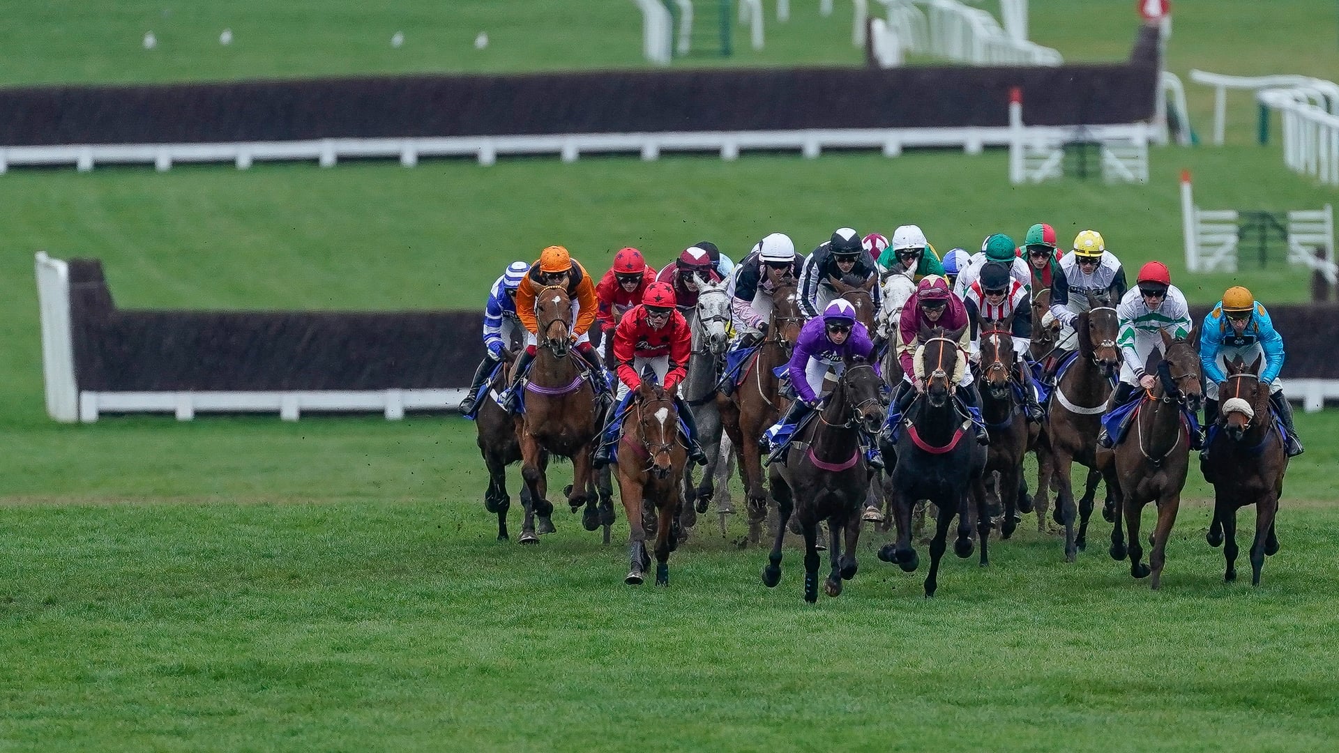 2024 Pertemps Final Odds | Gaoth Chuil leads Cleatus Poolaw in ...