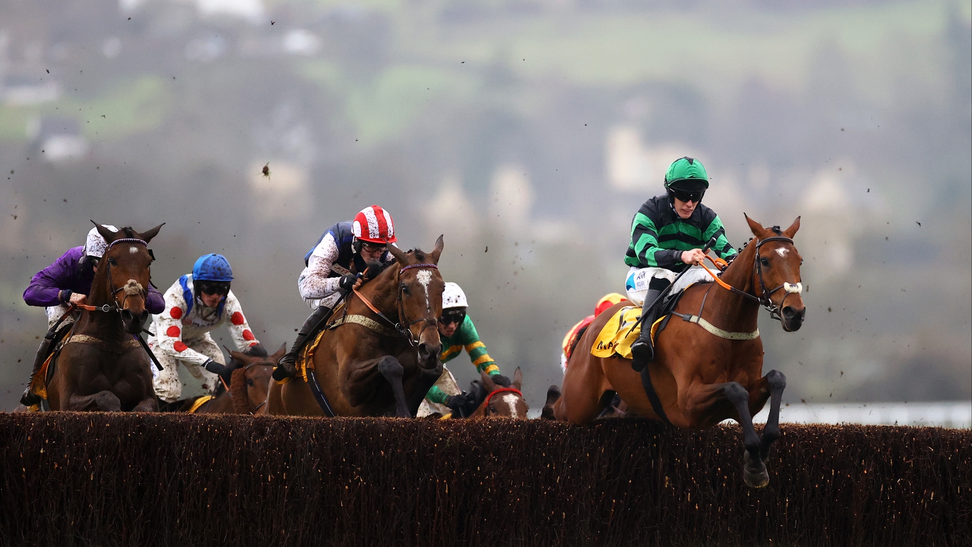 2024 Plate Handicap Chase Odds | Crebilly backed into favouritism
