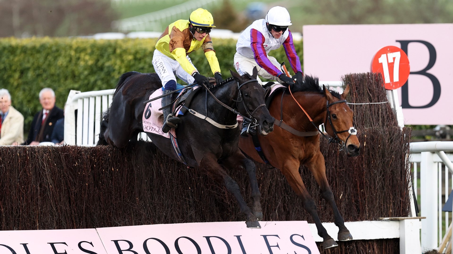 2024 Cheltenham Gold Cup Tips | Runner-By-Runner Guide and Verdict