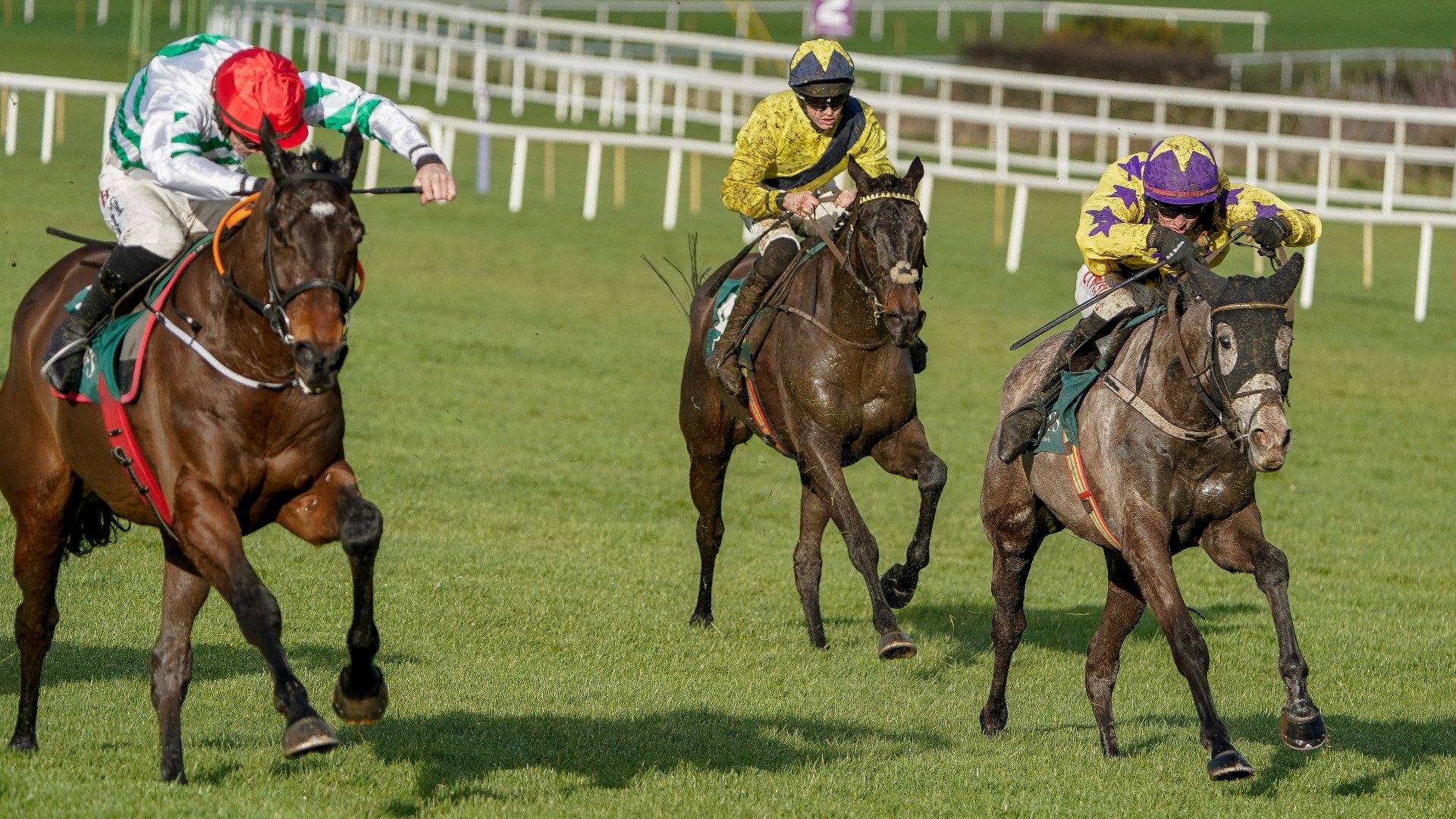 2024 Arkle Challenge Trophy Tips | Two to keep on-side in an open Arkle ...