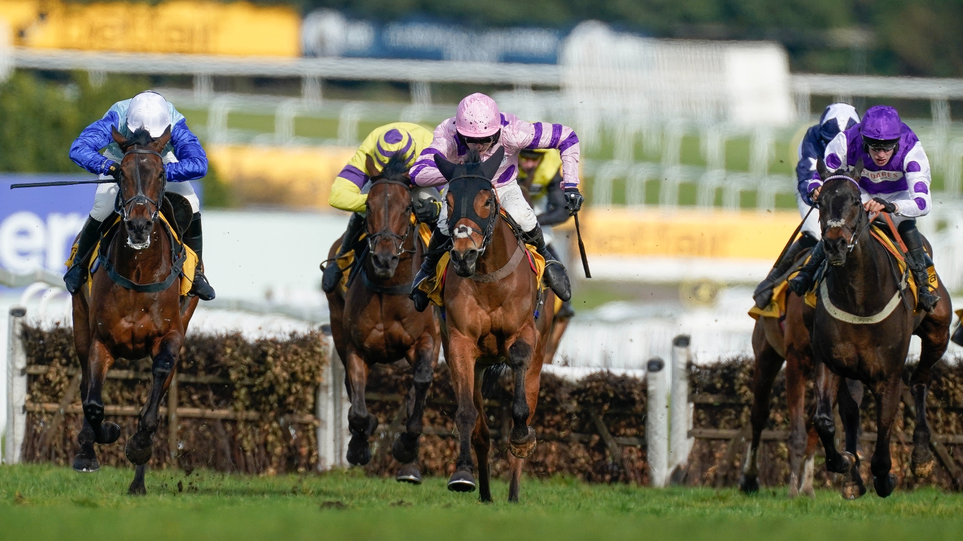 2024 Imperial Cup Tips | Odds, trends and two selections for Sandown