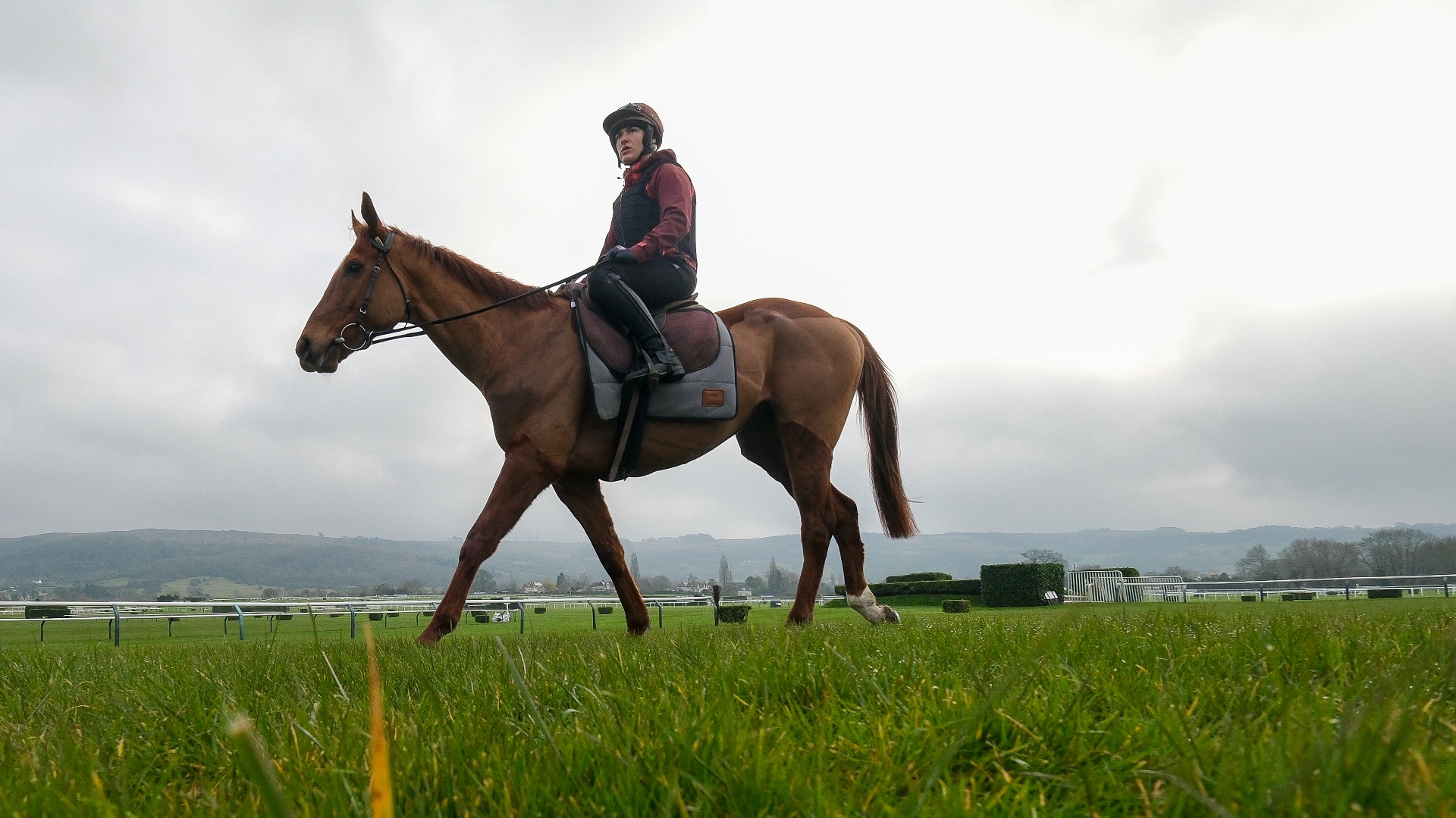 Cheltenham Day 1 Declarations | State Man faces six in the Champion Hurdle