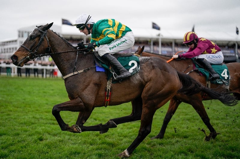 Cheltenham Festival Day 2 | Results and Photos on March 13th