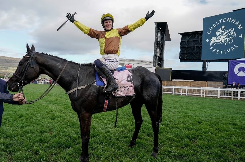 2024 Cheltenham Gold Cup Result | Galopin Des Champs wins at Cheltenham ...