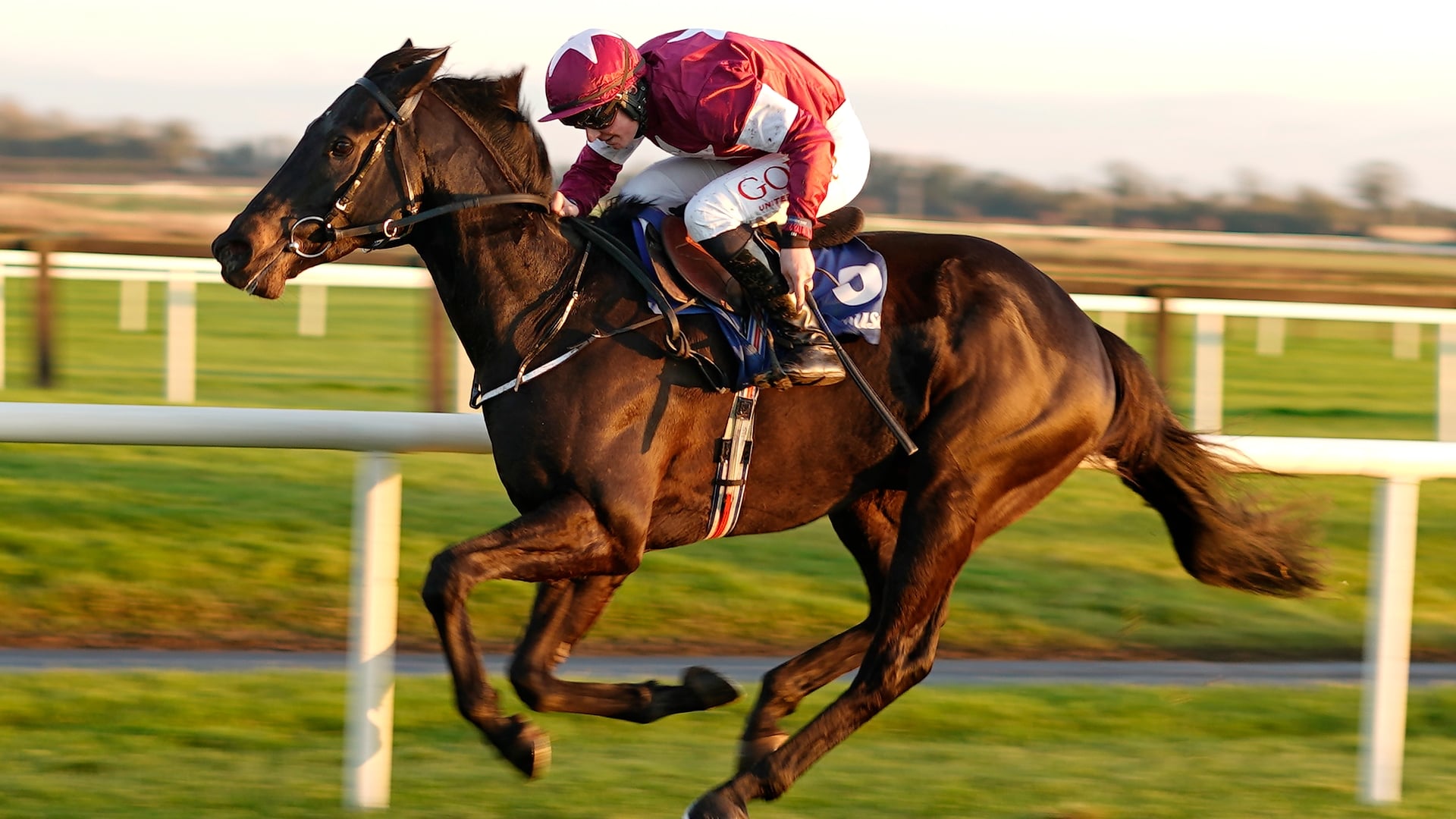 2024 Irish Grand National Tips | Elliott's novice a solid ante-post ...