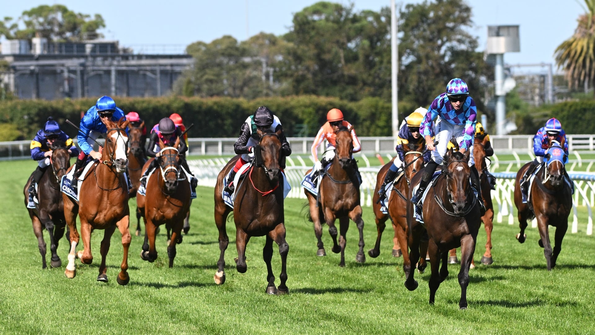 Australian Cup 2024 Barrier Draw & Final Field