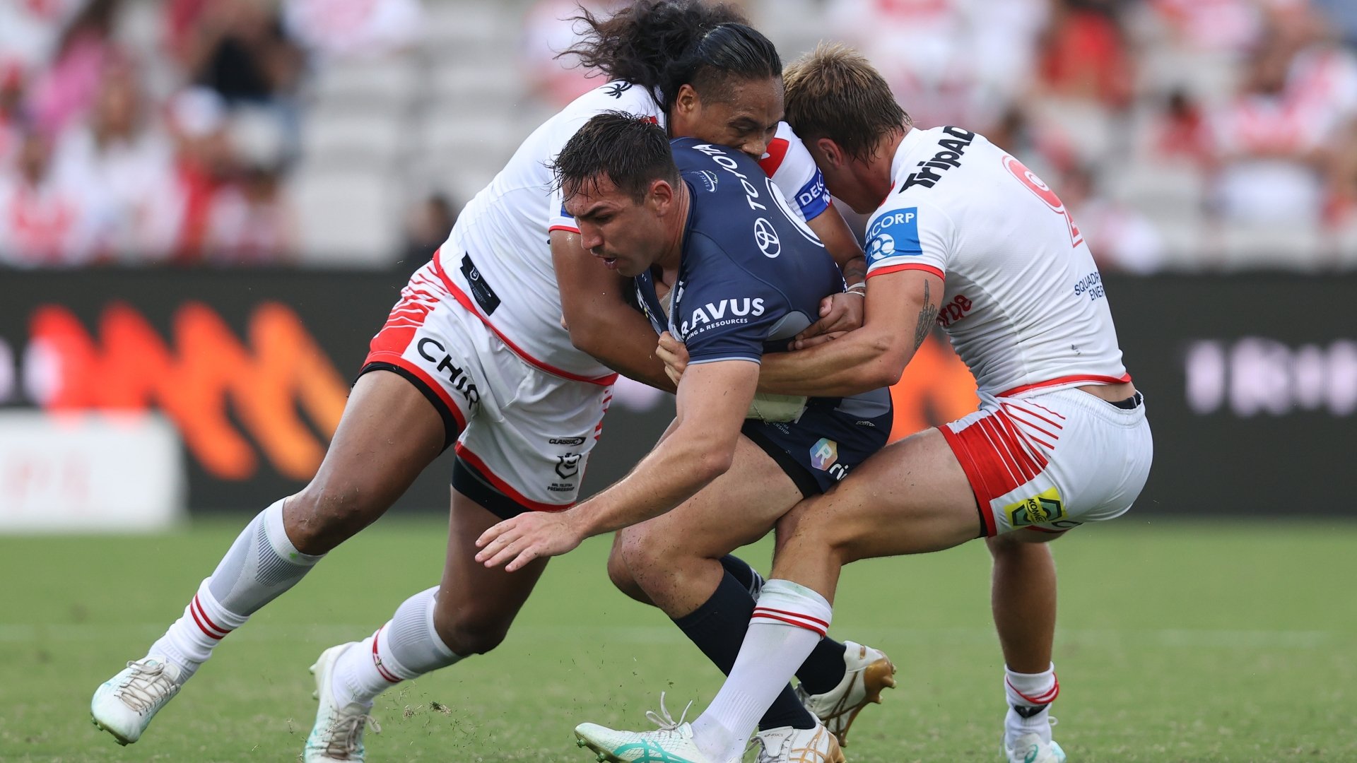 Dragons vs Zebre Predictions - Dragons backed to end losing streak