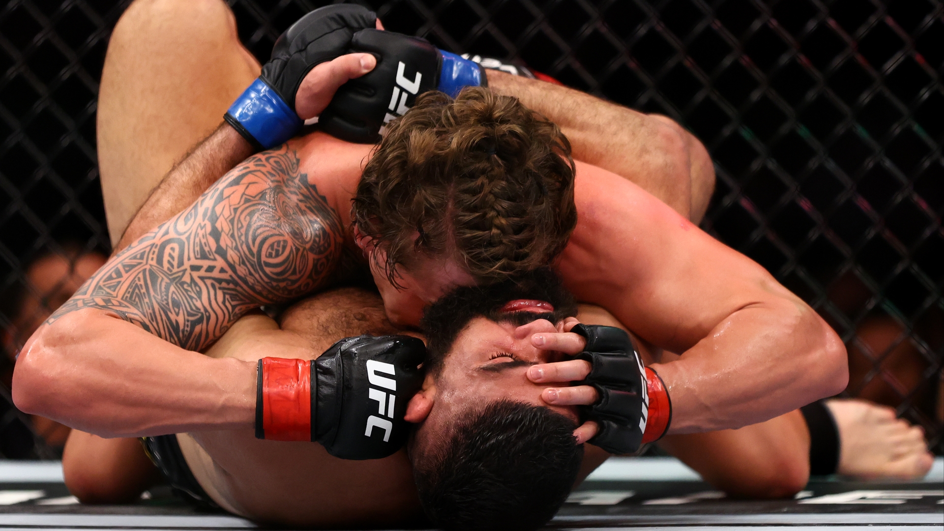 UFC Fight Night: Allen vs Curtis Stream Available Free Online