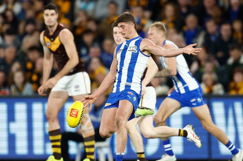 North Melbourne Vs Hawthorn Tips And Preview Roos To Get Their First Of