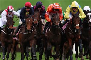 Irish Racing Tips | Free Expert Tips | RacingInsider.com