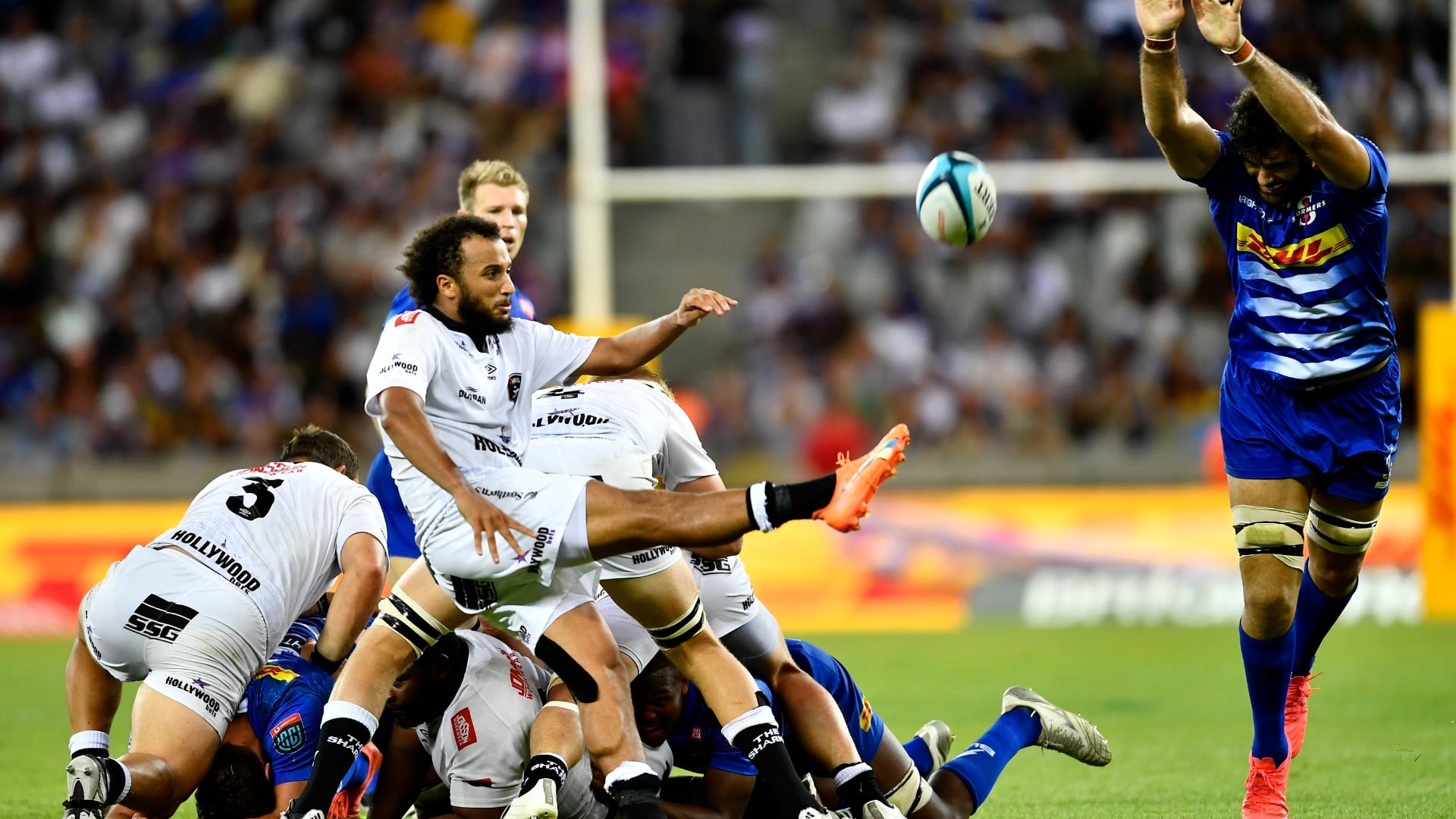 Sharks vs Clermont Predictions - Sharks backed to progress to Challenge ...