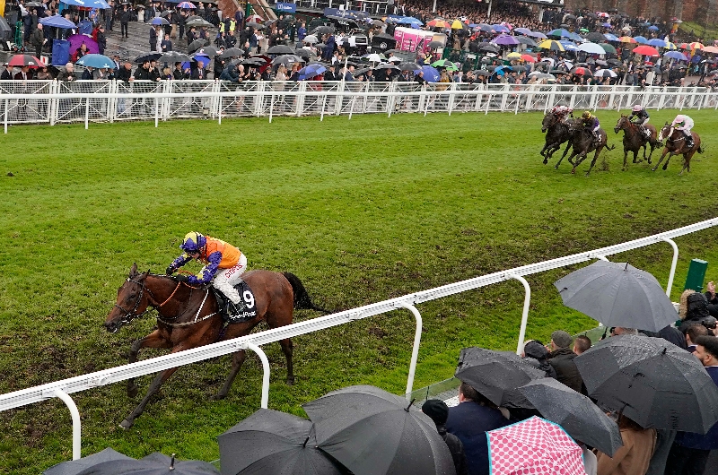 2024 Chester Cup Tips | Odds, trends and two selections