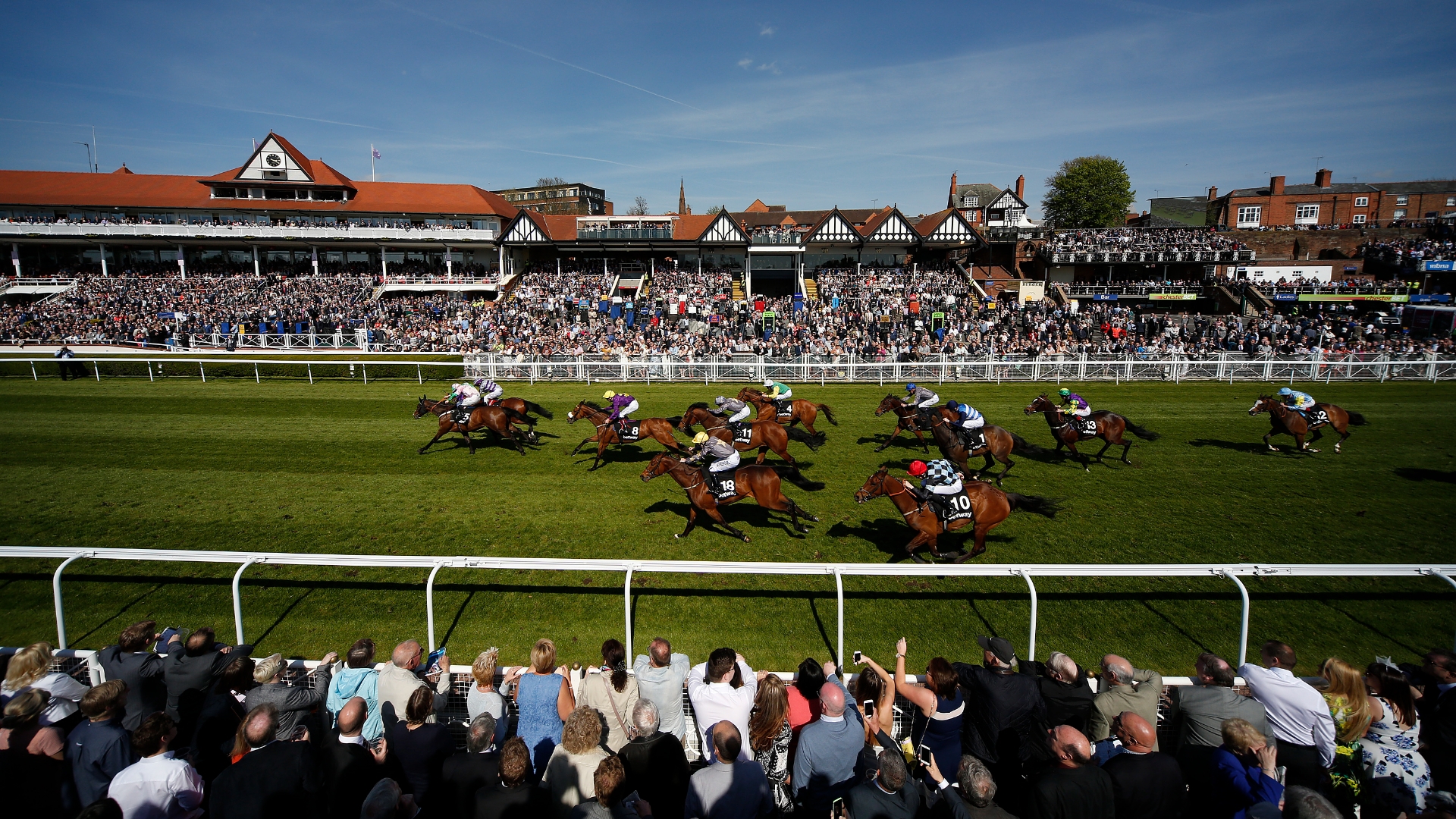 2024 Chester Cup Tips | Odds, trends and two selections