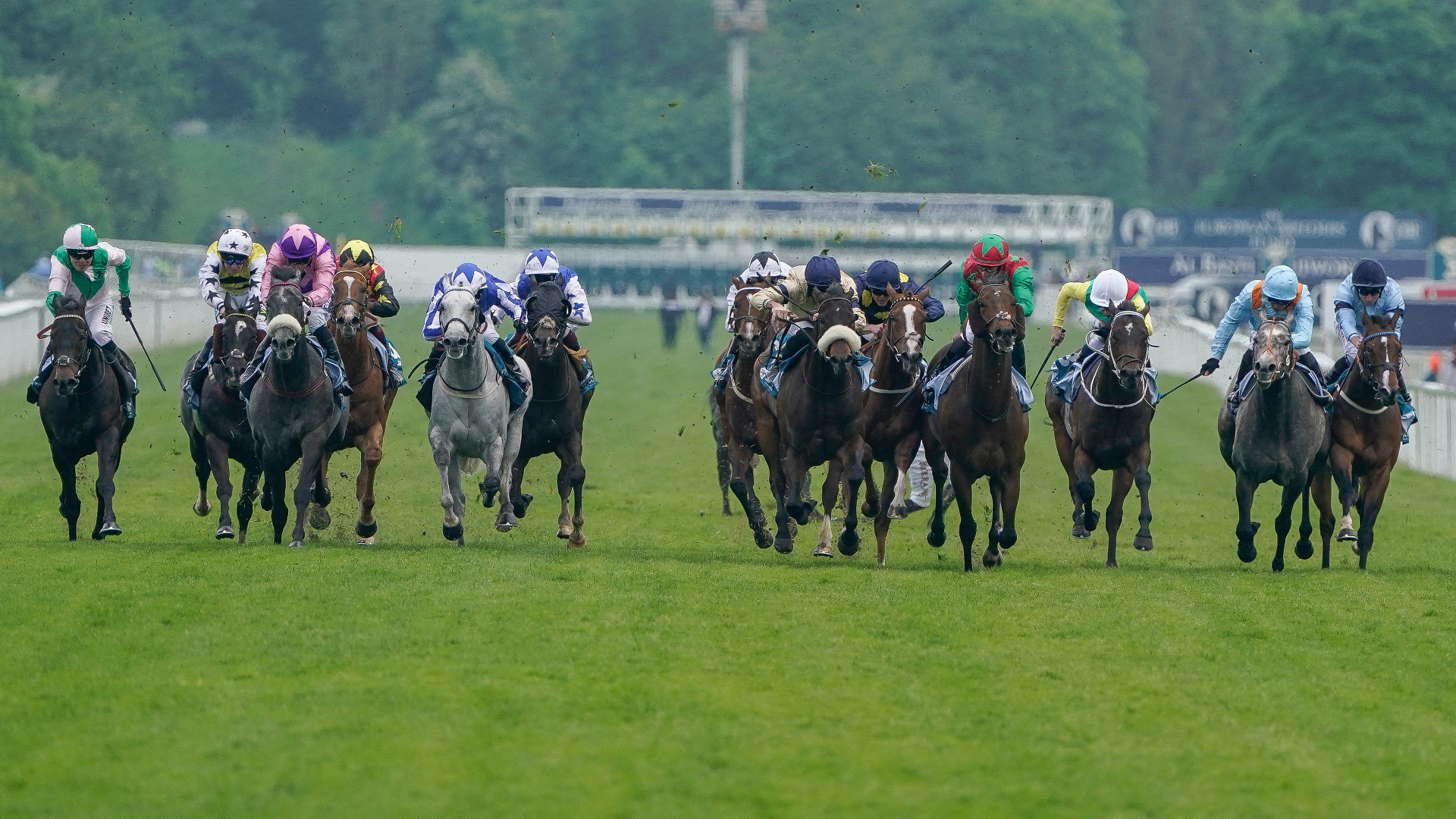 2024 Yorkshire Cup Tips | Botti's star can defend York crown