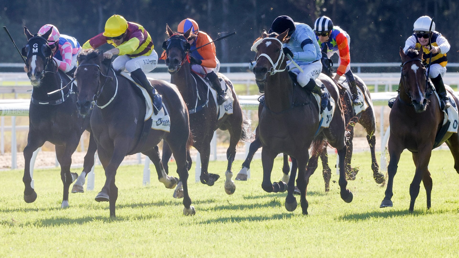 Doomben Cup 2024 Barrier Draw & Final Field