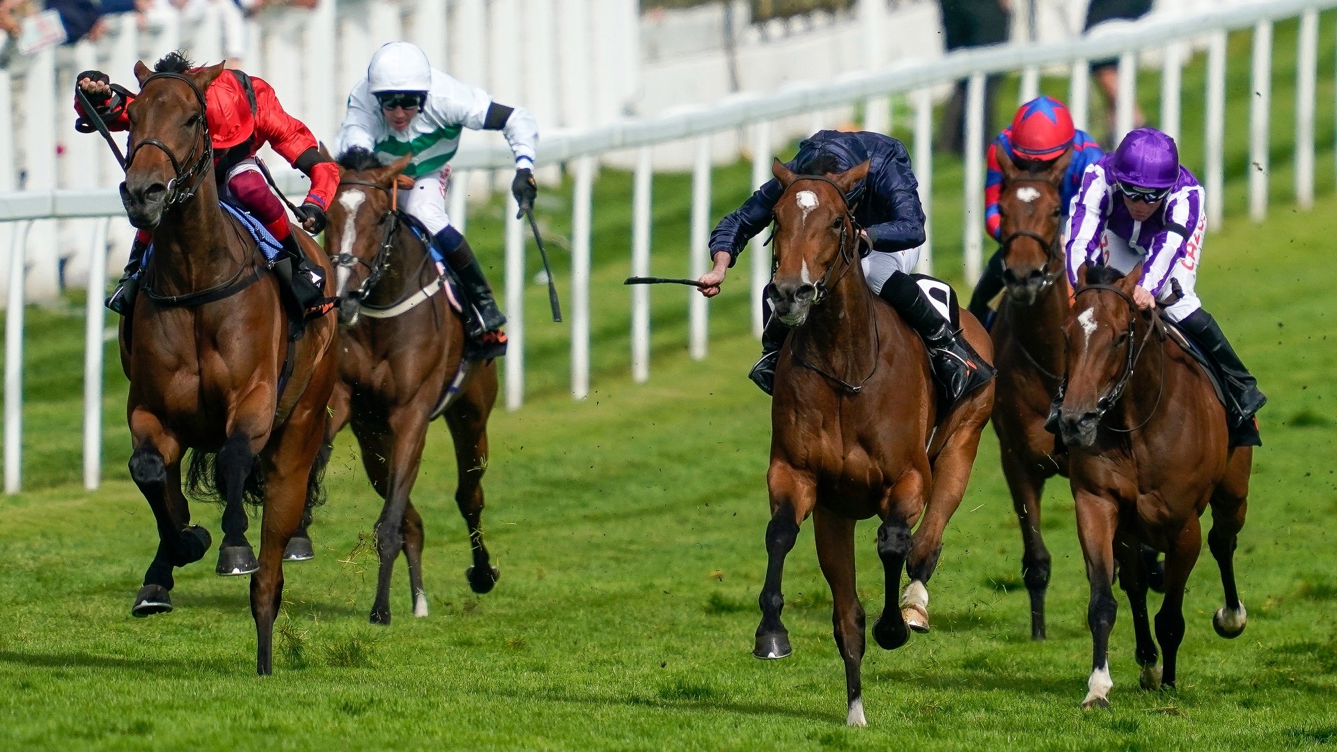 2024 Epsom Oaks Odds | Ylang Ylang tops Classic market