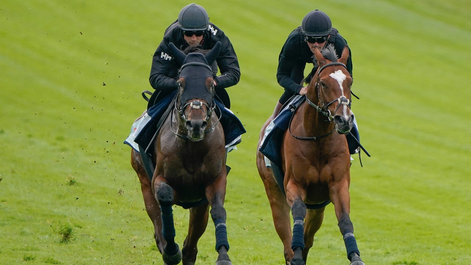 Racing News | Key quotes after Epsom's morning gallops