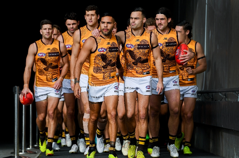 Hawthorn Vs Brisbane Tips Fearless Hawks Fly High Over The Lions