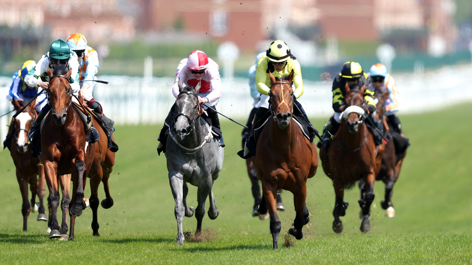 2024 Irish 2000 Guineas Tips | Hannon's star to scoop Classic success