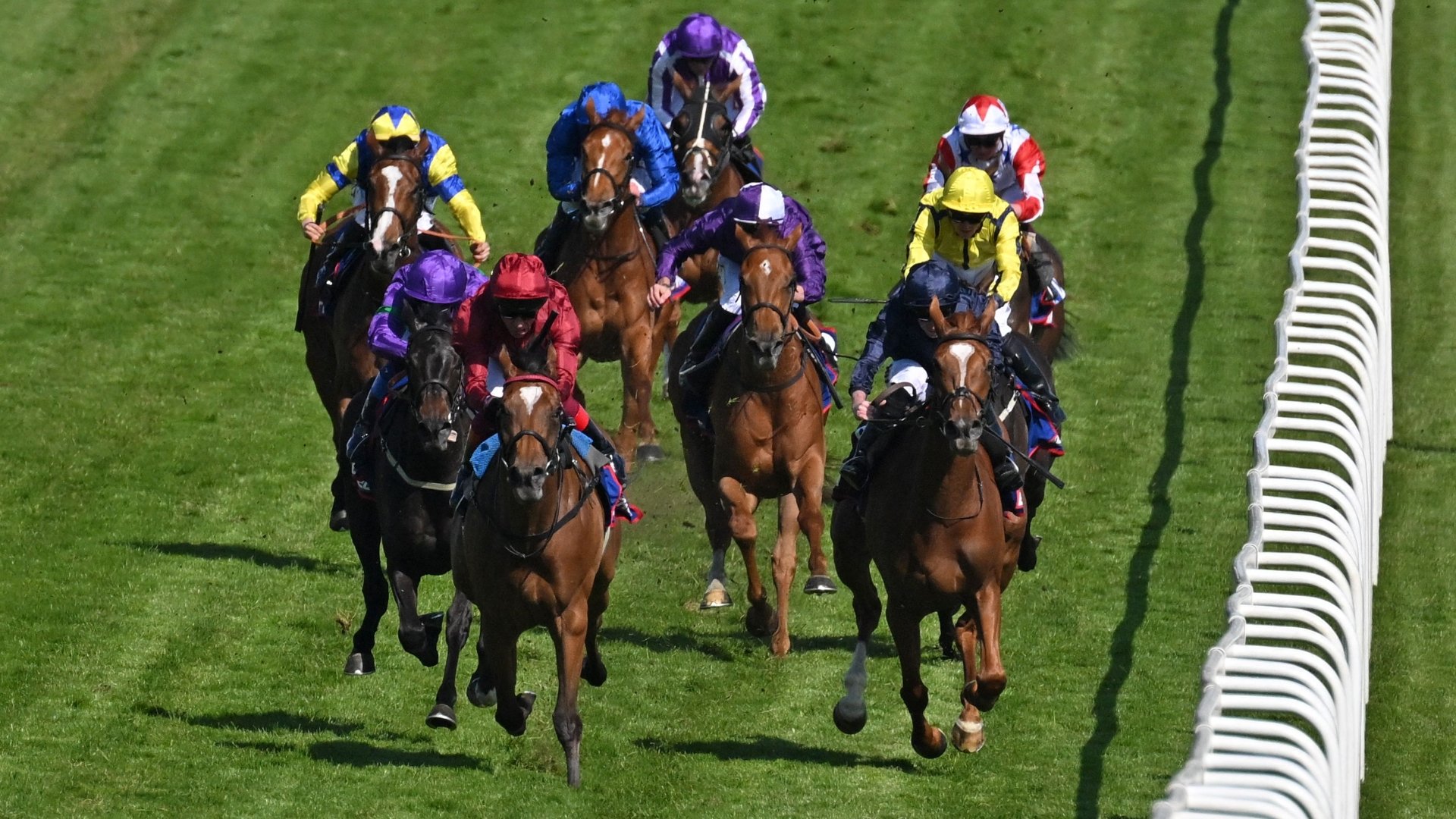 2024 Epsom Oaks Confirmed Runners | Ylang Ylang heads field of 12 at Epsom