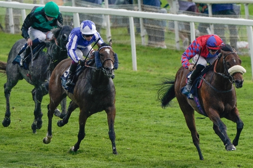 2024 King Charles III Stakes Odds | Big Evs tops the early betting