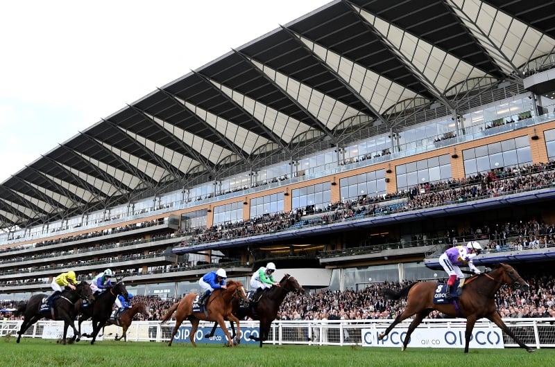 2024 Queen Elizabeth II Jubilee Stakes Odds - Kinross favourite to land ...